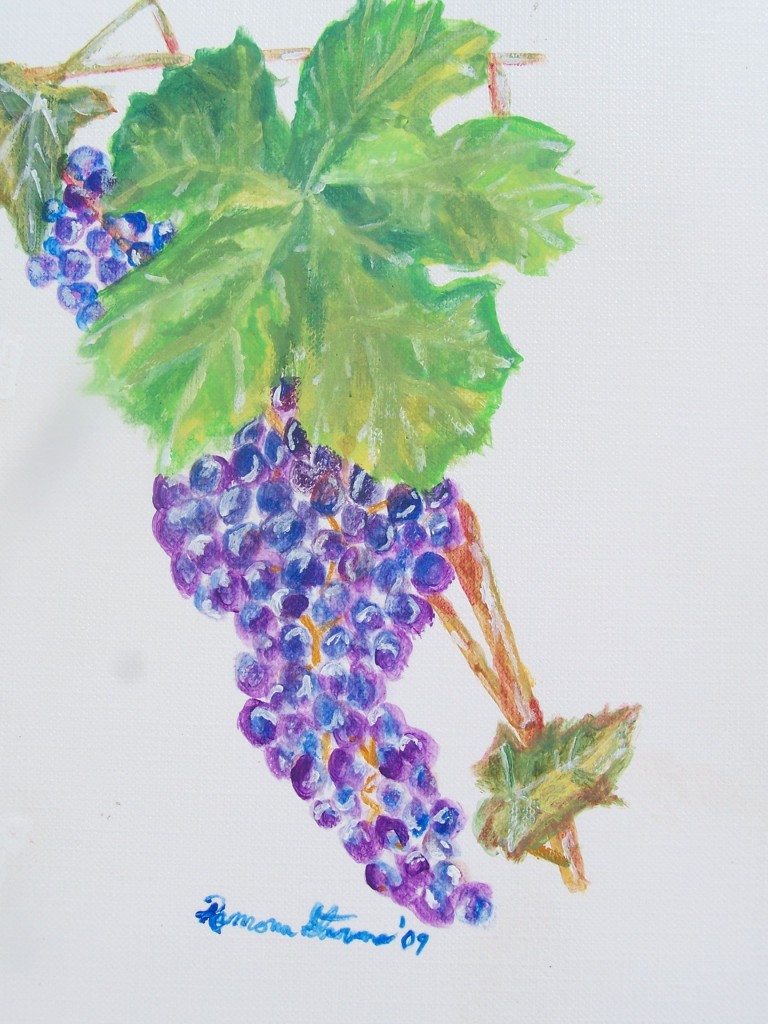 The true vine | Zion Christian Ministry